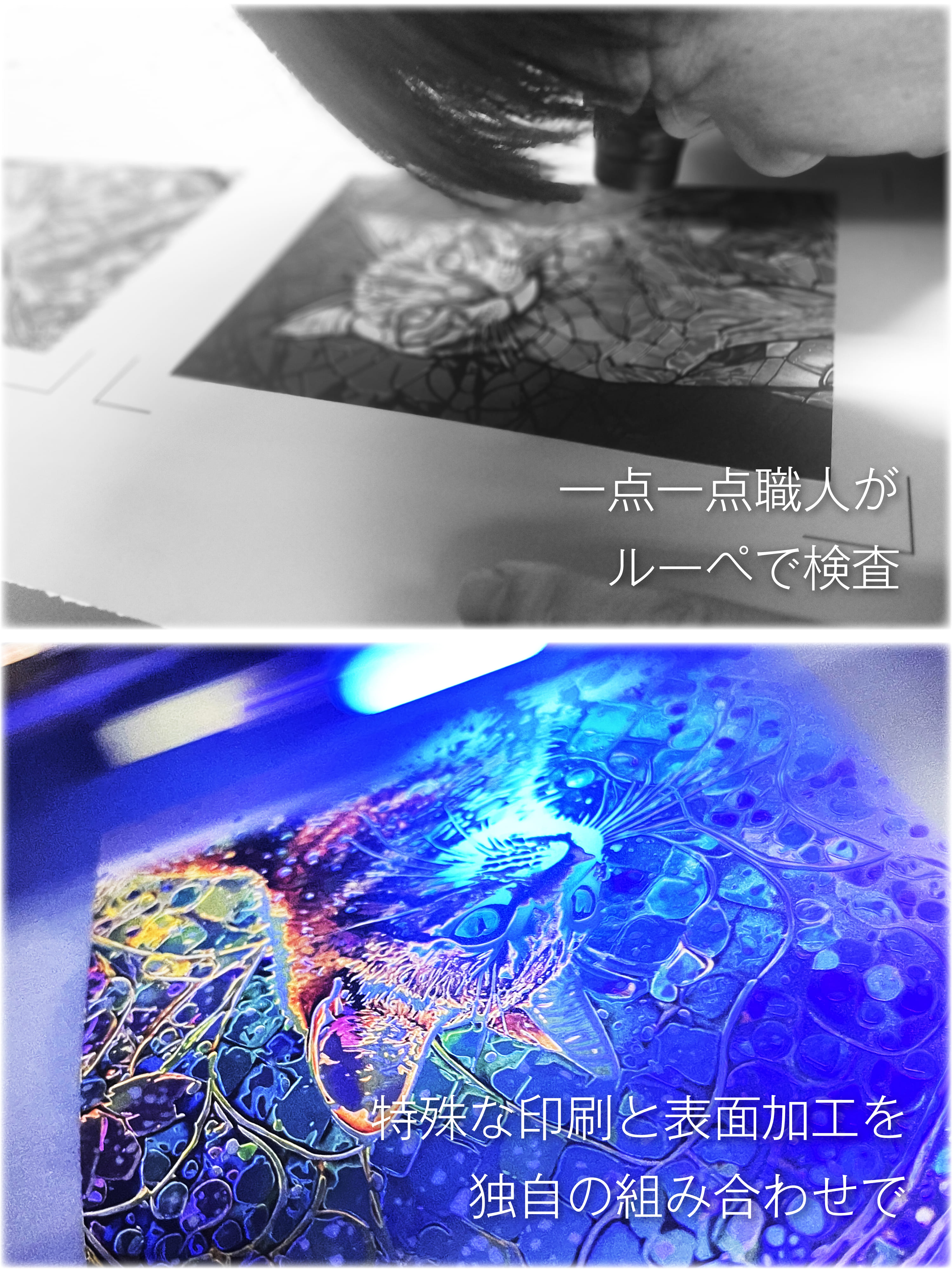 Japanese Luster Hana 02 [Inch Frame] / Cat, Special Print, Special ...